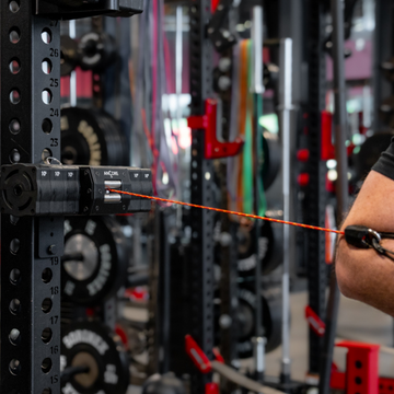 Pro Data Bundle – ANCORE